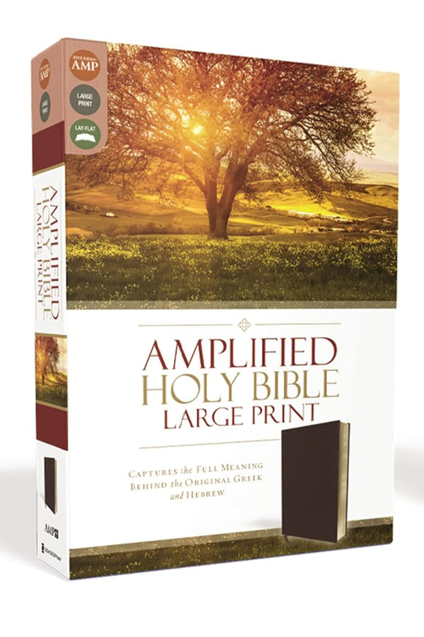 Amplified Holy Bible, Large Print, Bonded Leather, Burgundy: Captures ...