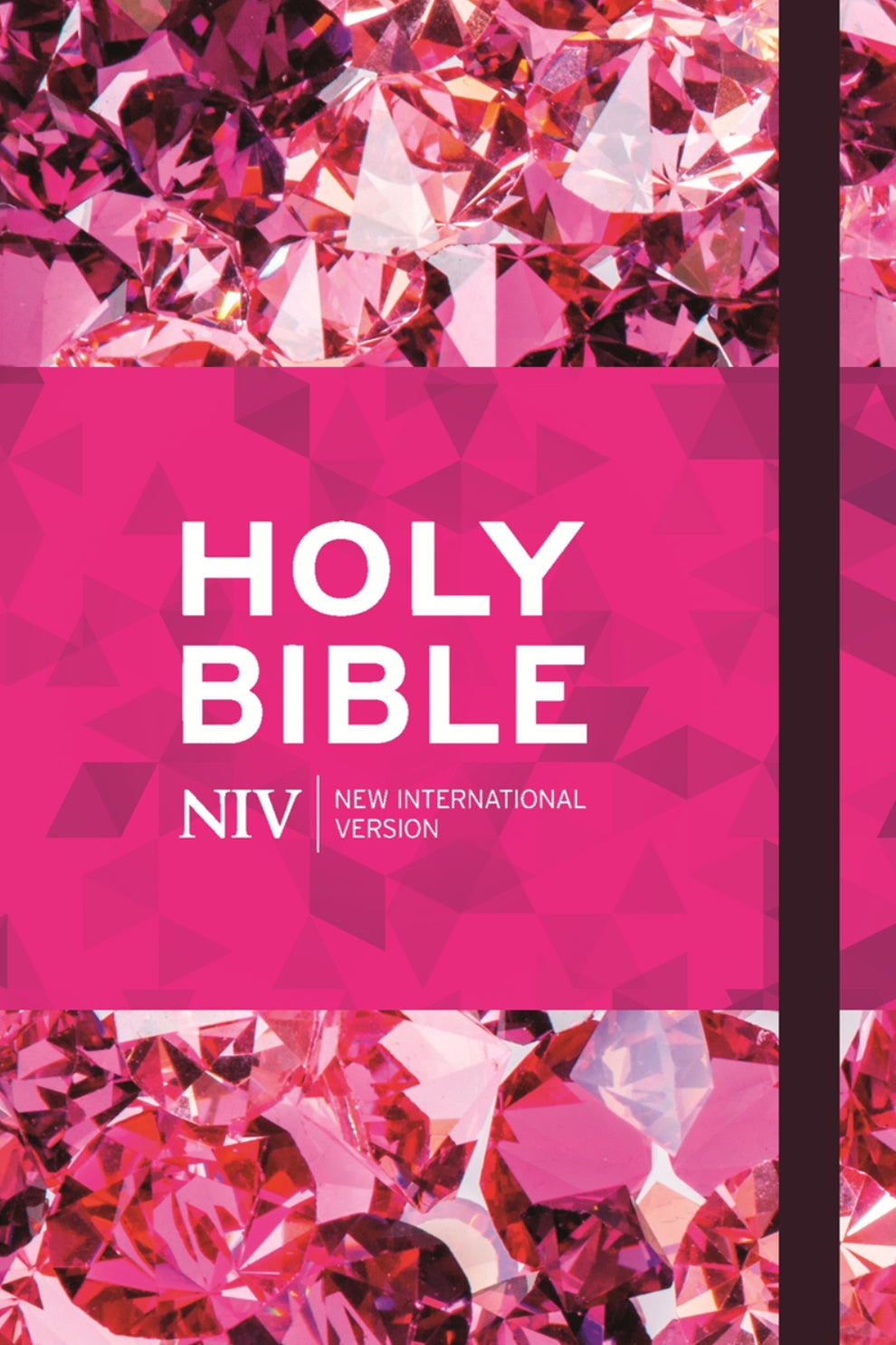 NIV Ruby Journalling Bible – Oasis Christian Bookshop